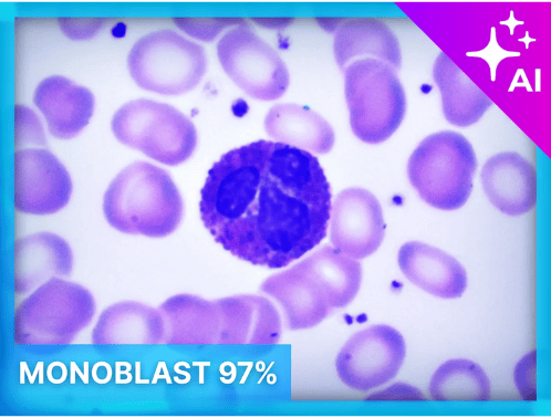 pylon Classification | vTools License